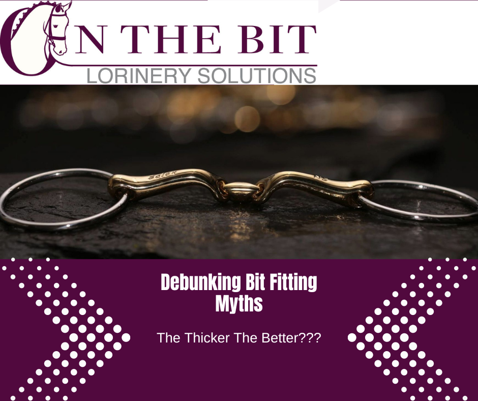 Debunking Bit Fitting Myths - The Thicker The Better??? – On The Bit ...
