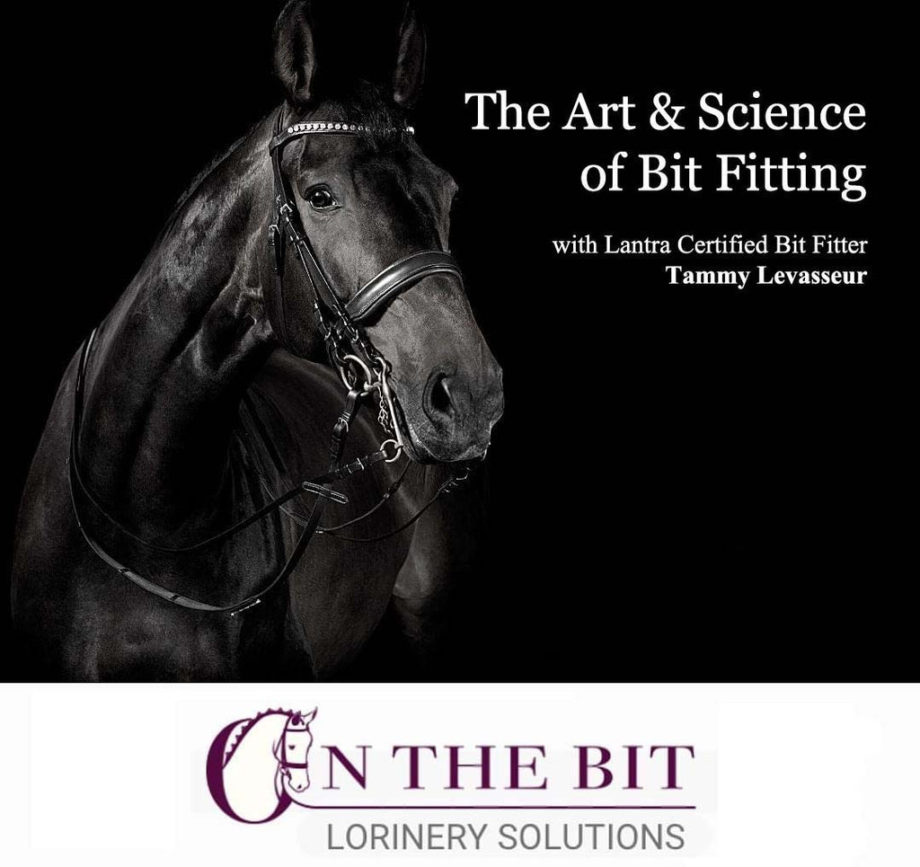 Art And Science of Bit Fitting Course – On The Bit Tack and Apparel